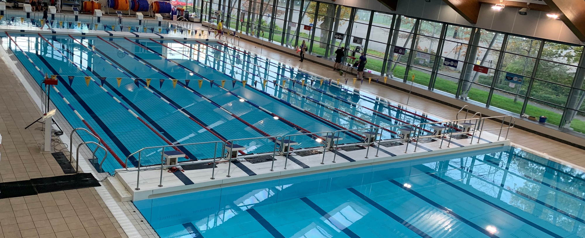 Crawley Swimming Club Home